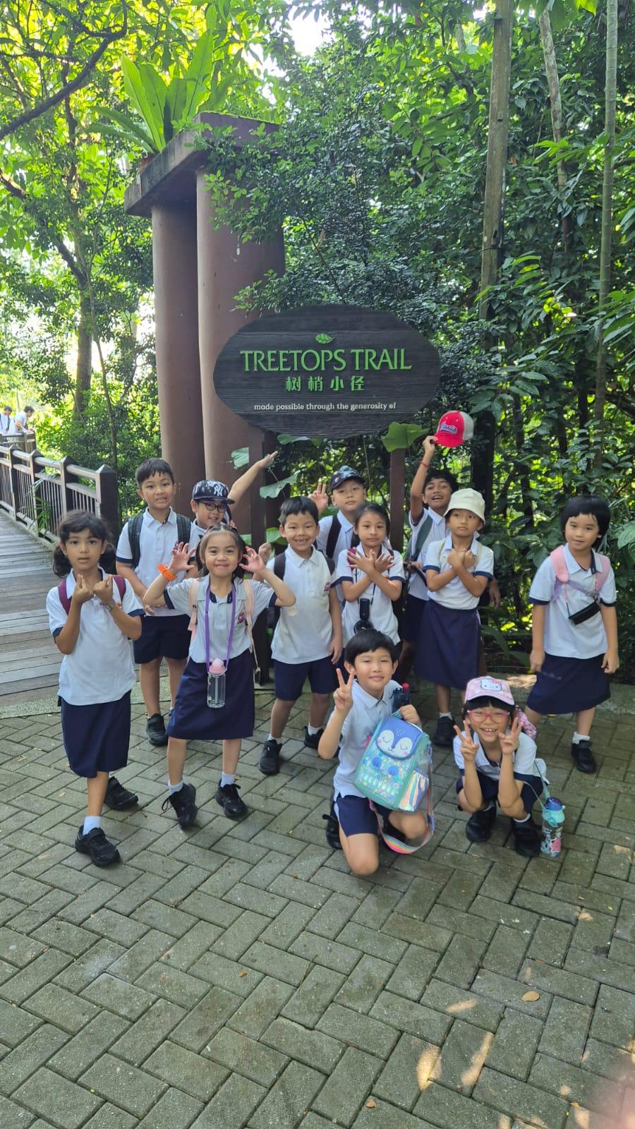 Programme for Active Learning